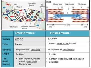 Smooth muscle contraction | PPTX