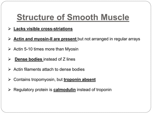 Smooth muscle contraction.pptx | Biological Sciences | Science