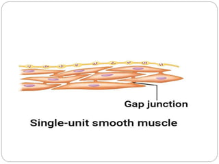 Smooth muscle contraction.pptx