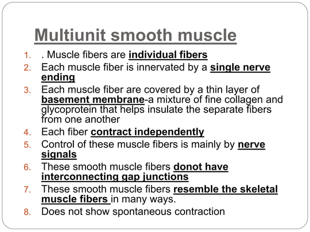 Smooth muscle contraction.pptx | Biological Sciences | Science