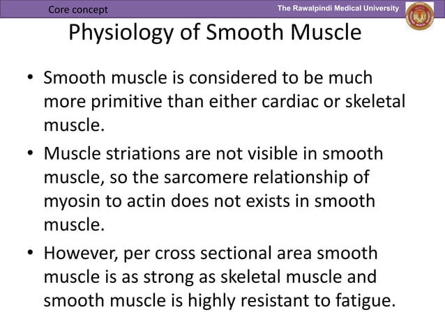 Smooth muscle contraction (updated).pptx