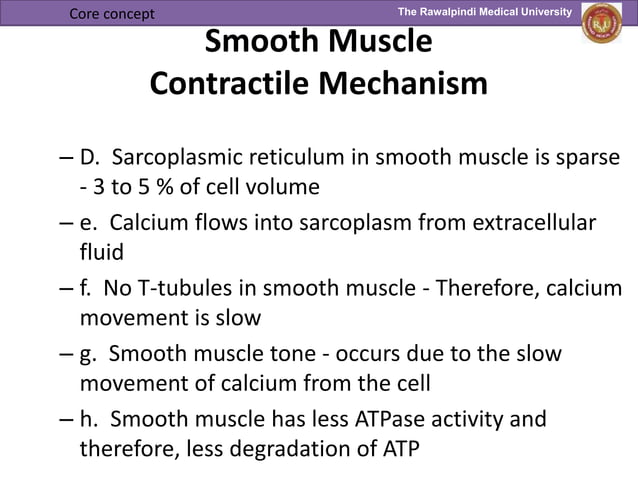 Smooth muscle contraction (updated).pptx