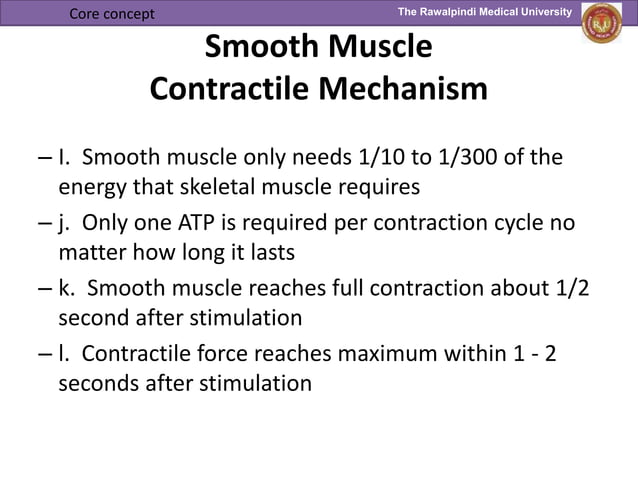 Smooth muscle contraction (updated).pptx