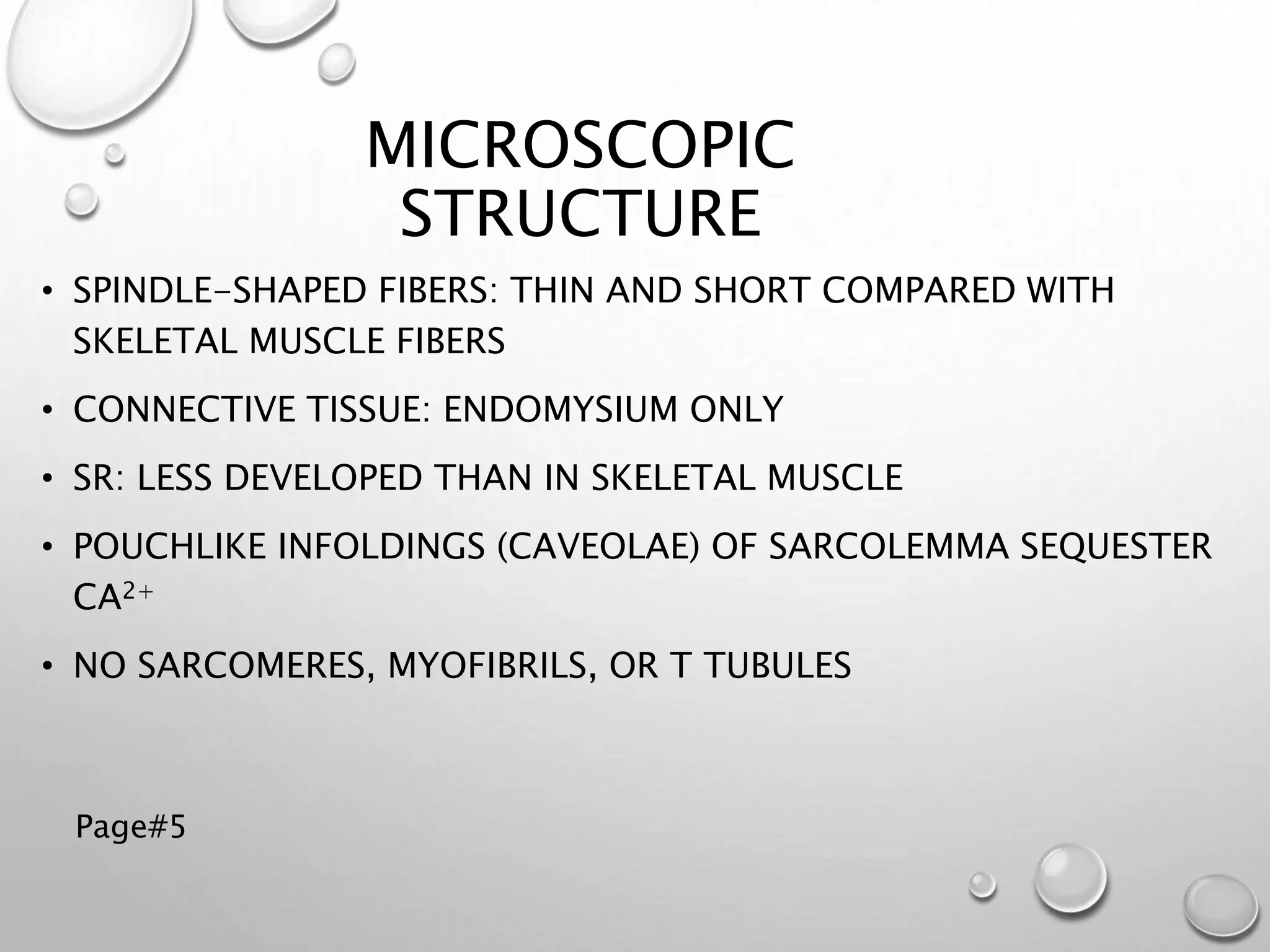 Smooth Muscle Excitation Contraction | PPTX