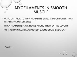 Smooth Muscle Excitation Contraction | PPTX