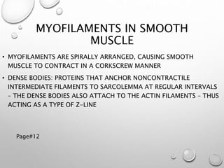 Smooth Muscle Excitation Contraction | PPTX