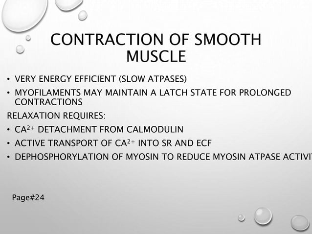 Smooth Muscle Excitation Contraction | PPTX