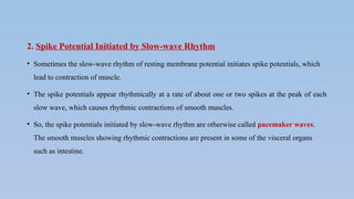 Smooth Muscle physiology it's explanation | PPT