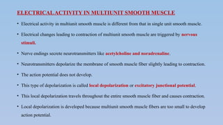 Smooth Muscle physiology it's explanation | PPT