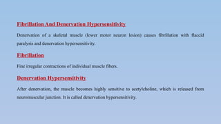 Smooth Muscle physiology it's explanation | PPTX