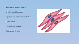 Smooth Muscle physiology it's explanation | PPTX