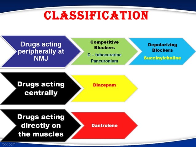 Smooth muscle relaxants | PPT | Physical Therapy | Wellness