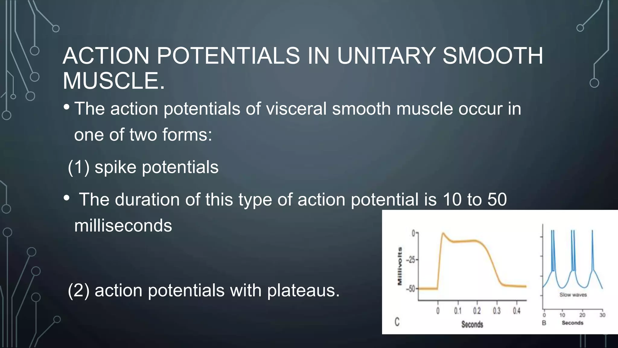 smooth muscles 3.pptx