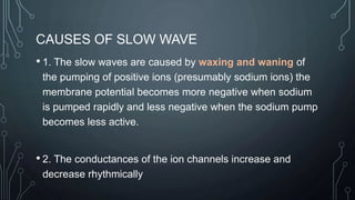 smooth muscles 3.pptx