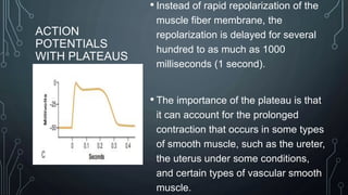 smooth muscles 3.pptx