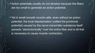 smooth muscles 3.pptx