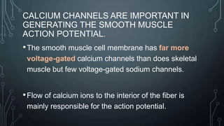 smooth muscles 3.pptx