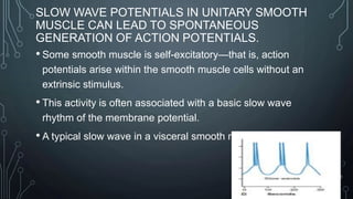 smooth muscles 3.pptx