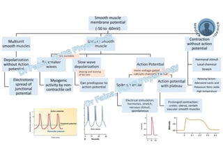 Physiology of Smooth Muscles -Mechanics of contraction and relaxation ...