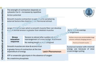 Physiology of Smooth Muscles -Mechanics of contraction and relaxation ...