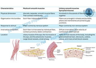Physiology of Smooth Muscles -Mechanics of contraction and relaxation | PDF