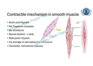 Physiology of Smooth Muscles -Mechanics of contraction and relaxation ...