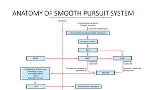 SMOOTH PURSUIT SYSTEM and saccades in supranucleardisorders.pdf