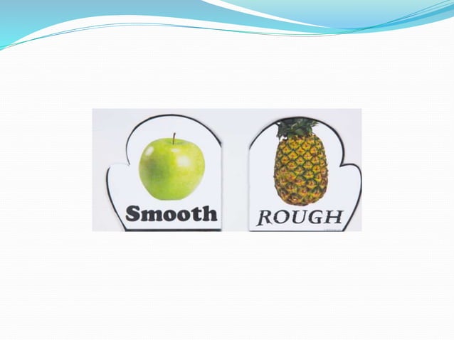 Smooth & rough | PPTX