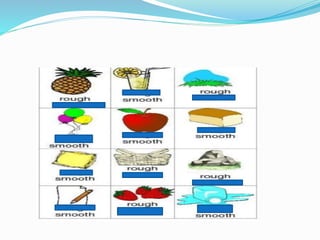 Images Of Rough Objects