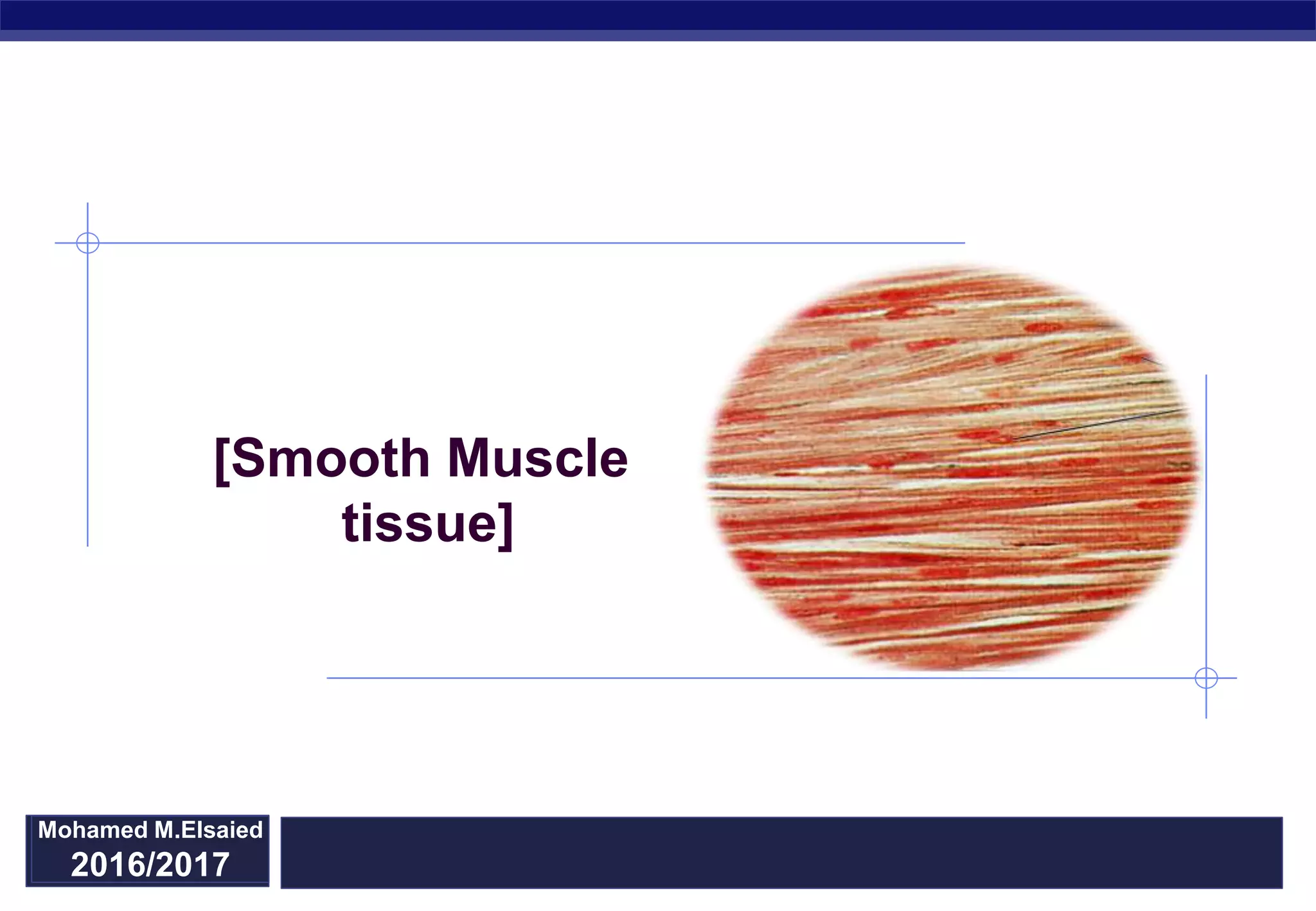 Smoth muscle tissue | PPTX