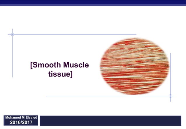 Smoth muscle tissue | PPTX | Biological Sciences | Science