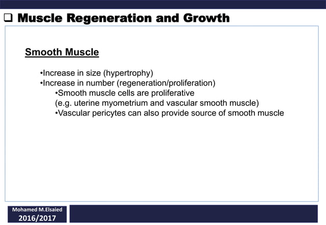 Smoth muscle tissue | PPTX | Biological Sciences | Science