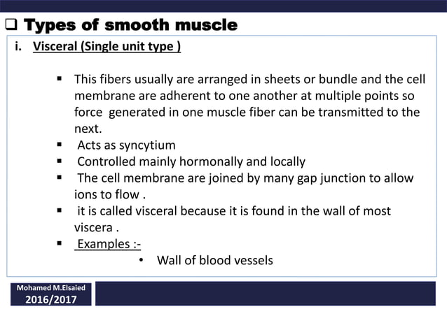 Smoth muscle tissue | PPTX | Biological Sciences | Science