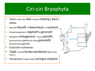kingdom plantae kelas 10 biologi, meliputi lumut paku | PDF