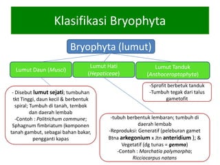 kingdom plantae kelas 10 biologi, meliputi lumut paku | PDF