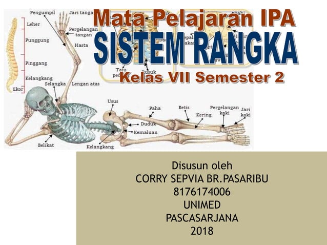 Sistem Rangka.pptx