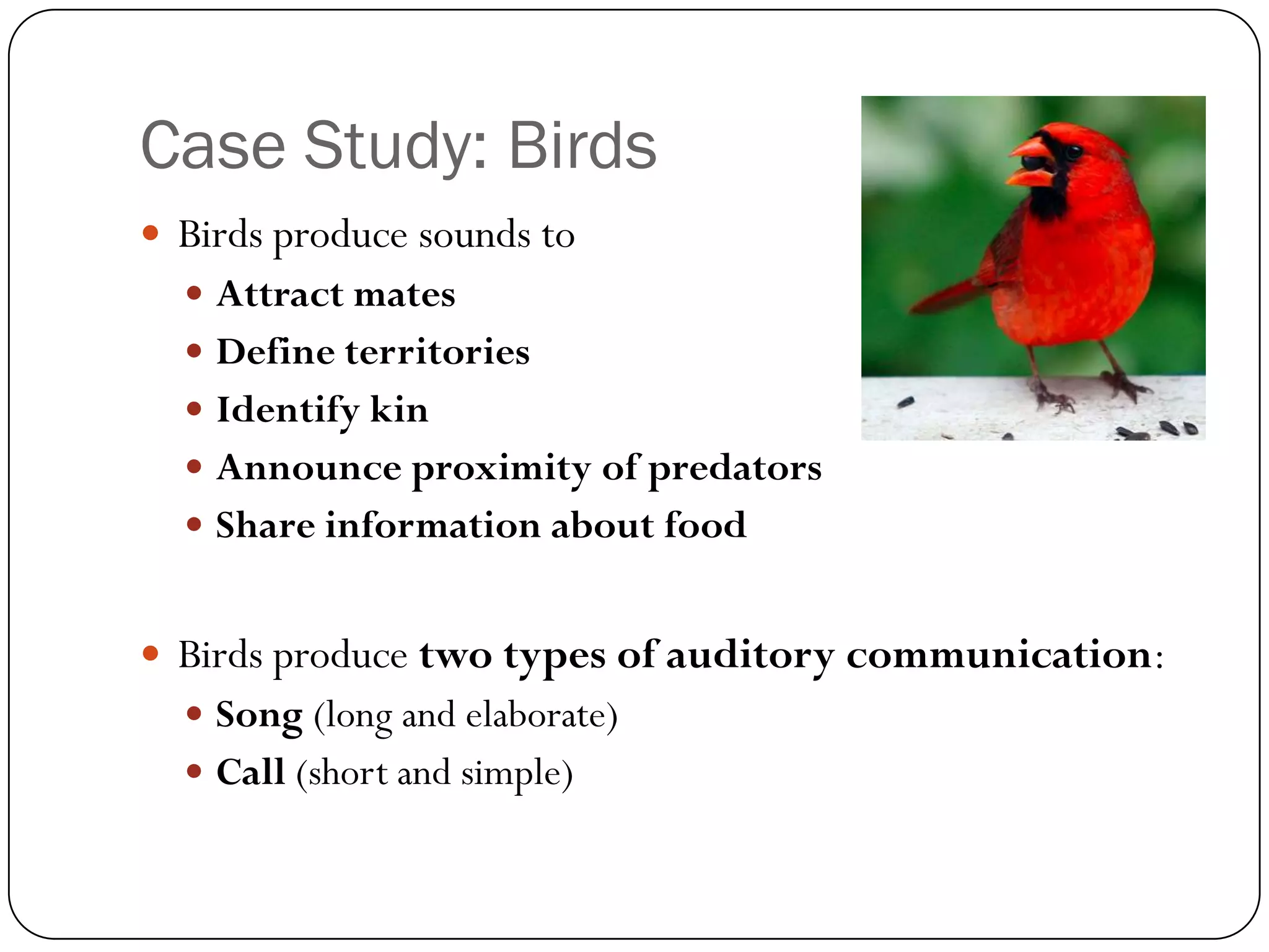Smp day 1 ppt 1 communication | PPTX