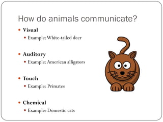 Smp day 1 ppt 1 communication | PPTX