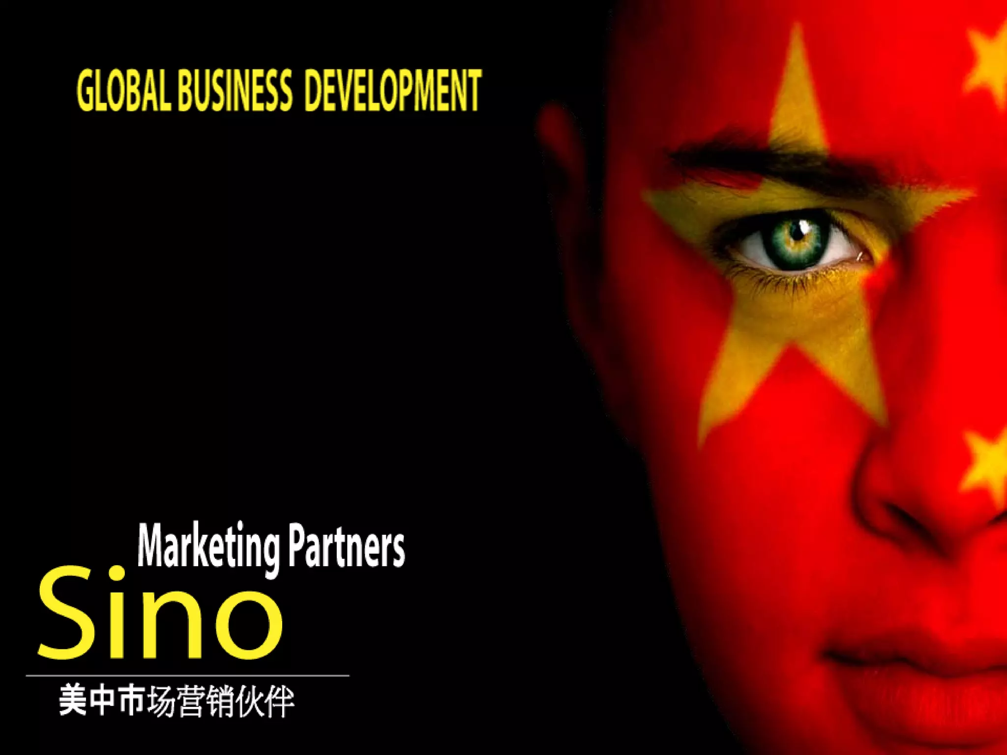 Sino Marketing Partners | PDF