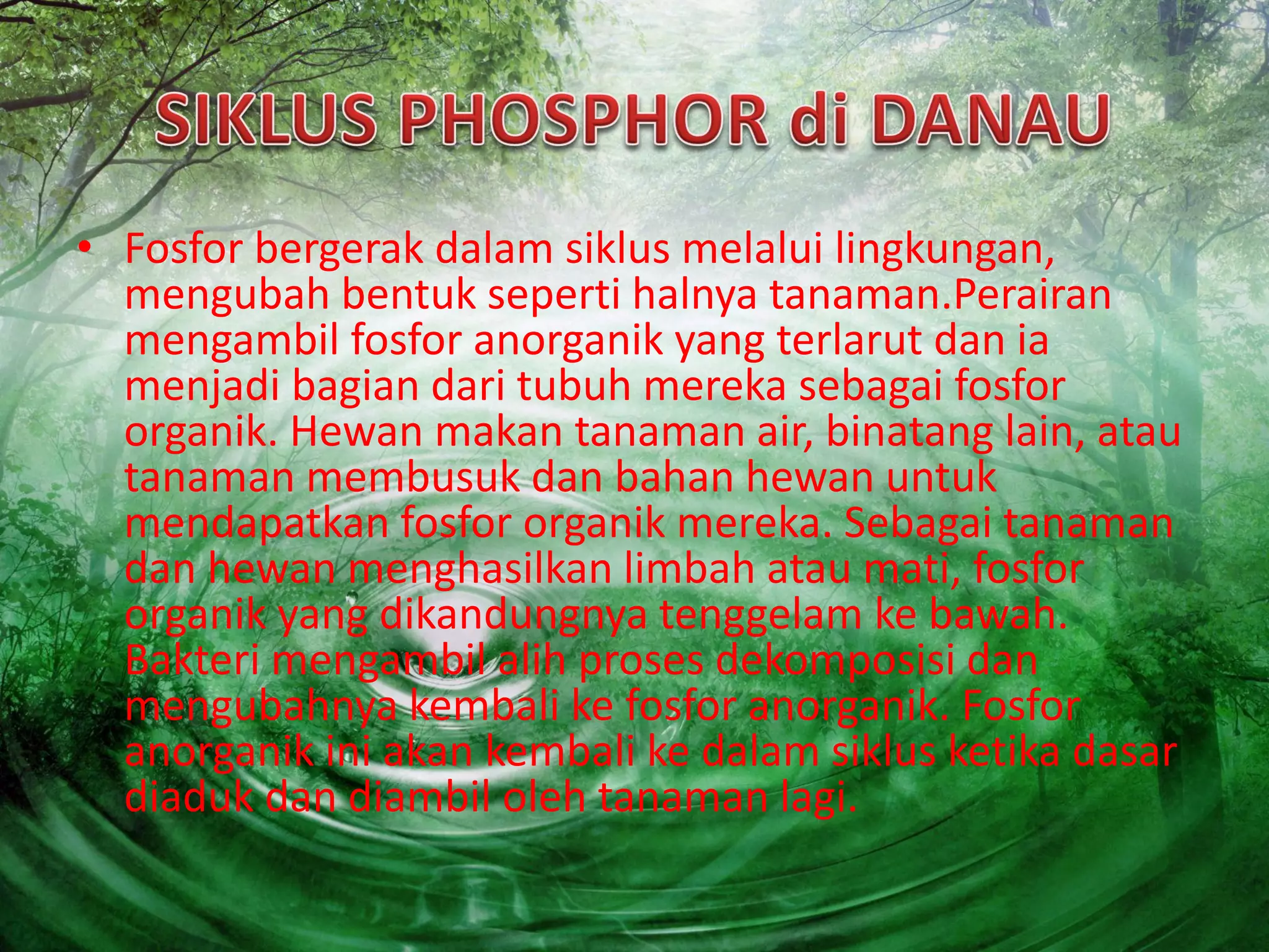 Siklus Fosfor - Phosphorus Cycle | PDF