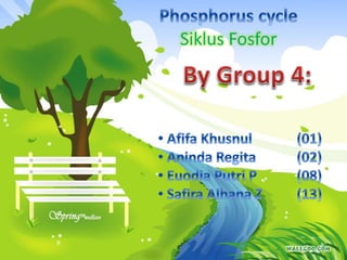 Siklus Fosfor - Phosphorus Cycle | PDF