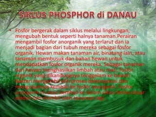 Siklus Fosfor - Phosphorus Cycle | PDF