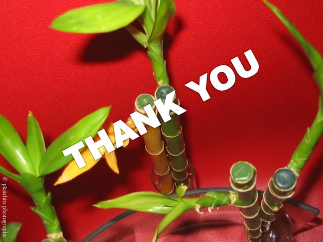 Siklus Fosfor - Phosphorus Cycle | PDF