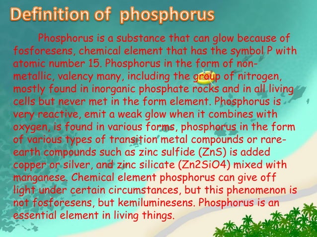 Siklus Fosfor - Phosphorus Cycle | PDF