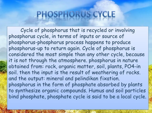 Siklus Fosfor - Phosphorus Cycle | PDF