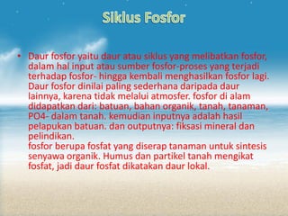 Siklus Fosfor - Phosphorus Cycle | PDF
