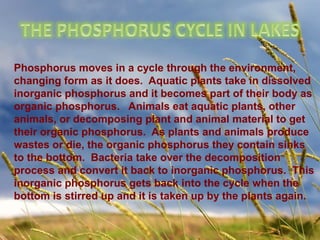 Siklus Fosfor - Phosphorus Cycle | PDF