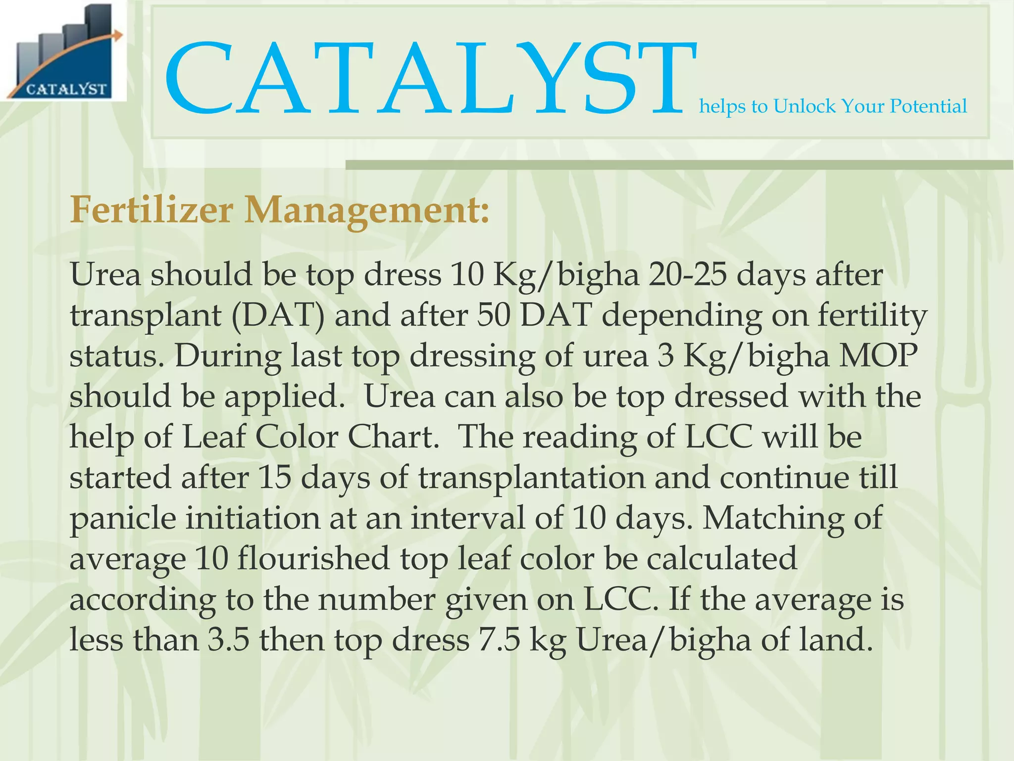 Submergence tolerent rice varieties in Bangladesh | PPT