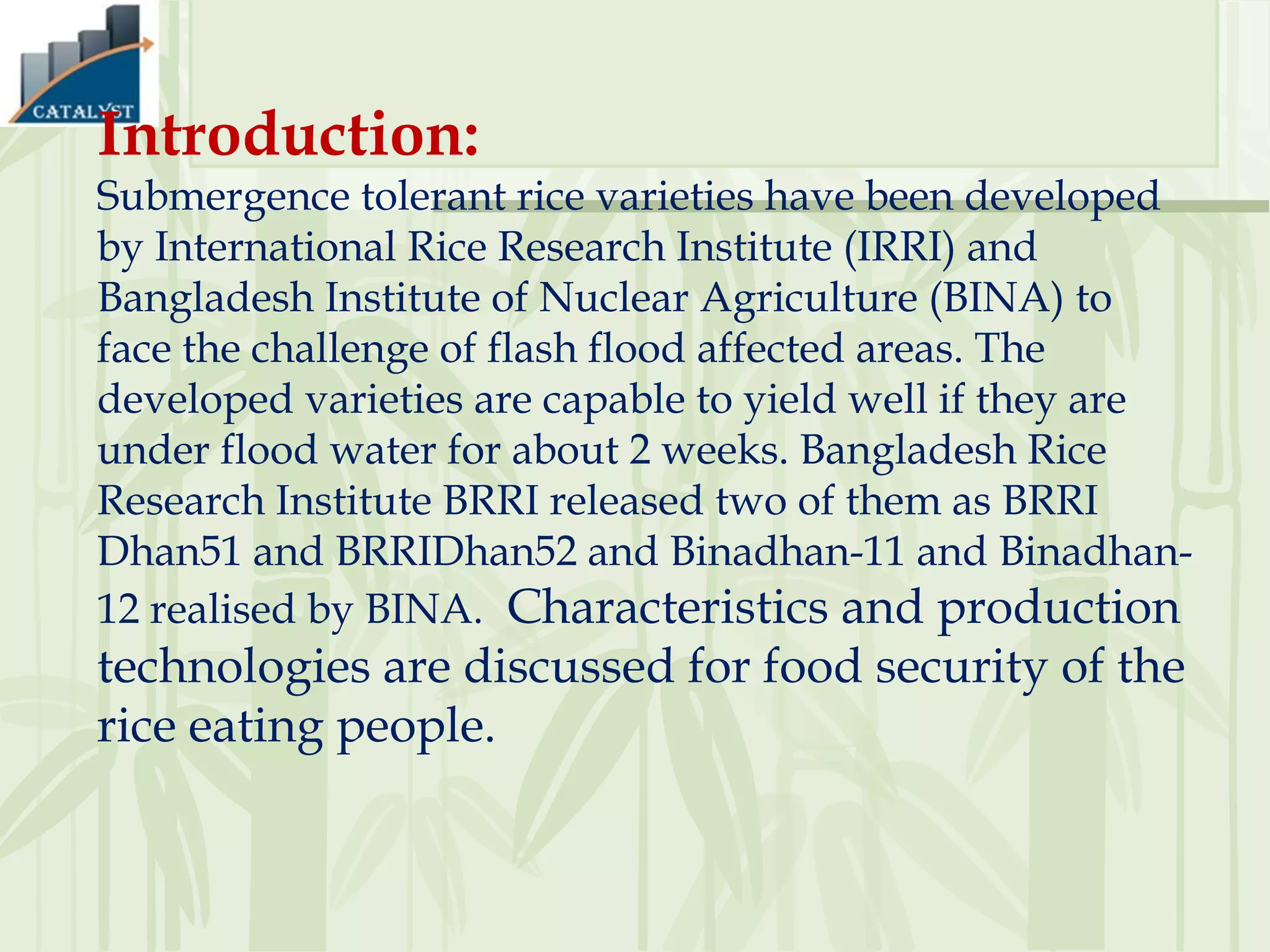 Submergence tolerent rice varieties in Bangladesh | PPT | Agriculture ...