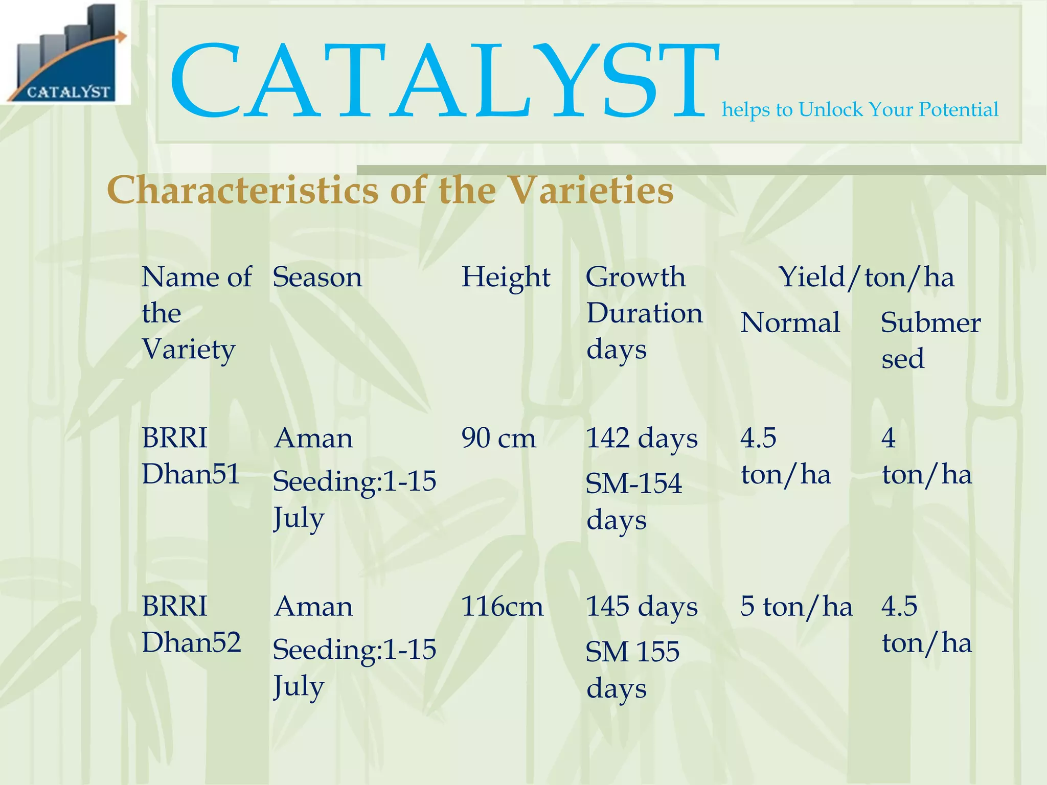 Submergence tolerent rice varieties in Bangladesh | PPT | Agriculture ...